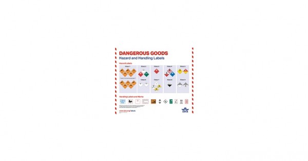 Dangerous Goods Hazards and Handling Poster | DGM