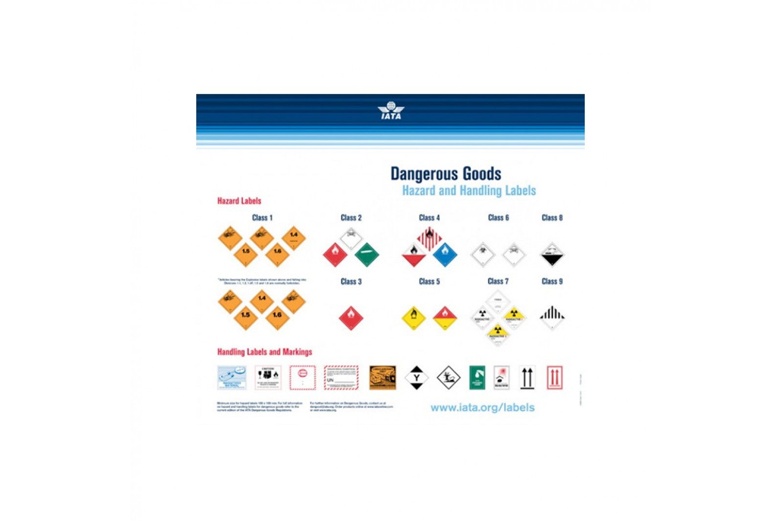 Dangerous Goods Hazards and Handling Poster | DGM